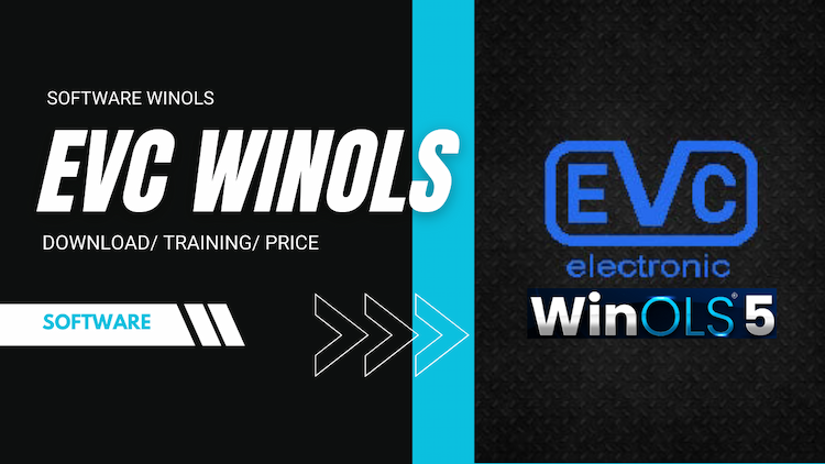 WinOLS Software: Download, Features, Pricing, Training, Use for ...